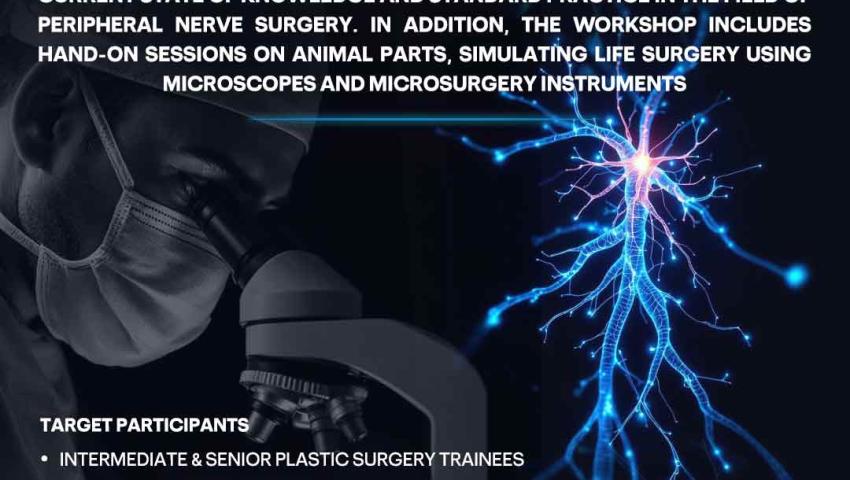 Peripheral Nerve Surgery 101 Workshop